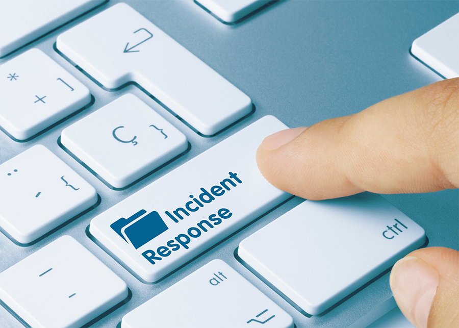 Interpol’s response teams and how they work | NGM Lawyers