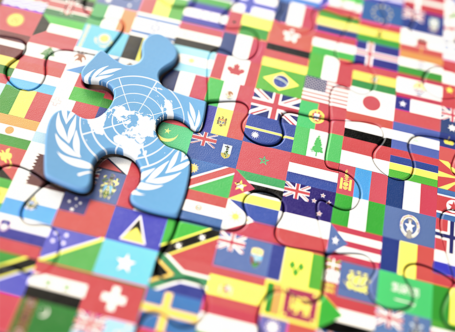 The United Nations celebrates its 80th anniversary | NGM Lawyers